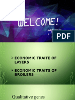 2.4 Layer Flock Management | PDF | Chicken | Poultry Farming