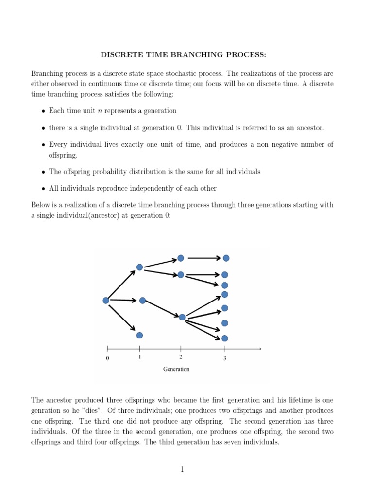 Branching Processes | PDF | Stochastic Process | Pi