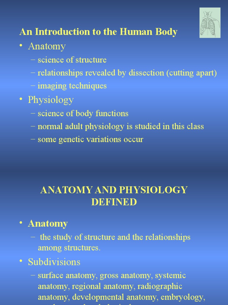 An Introduction To The Human Body: - Anatomy | PDF | Anatomical Terms ...