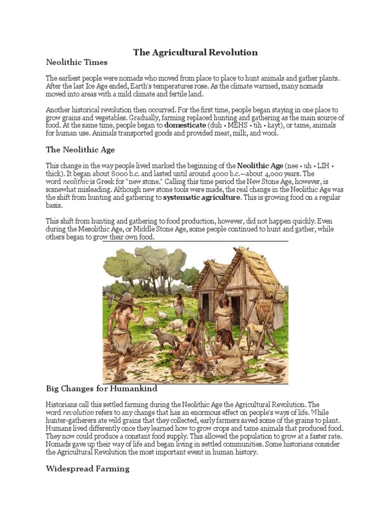 Neolithic Revolution Worksheet