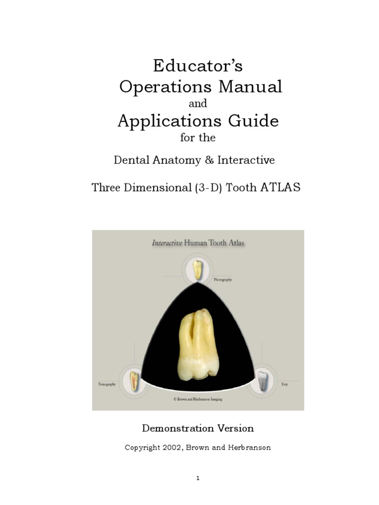 Three Dimensional (3-D) Tooth ATLAS PDF | PDF | Adobe Photoshop | Hyperlink