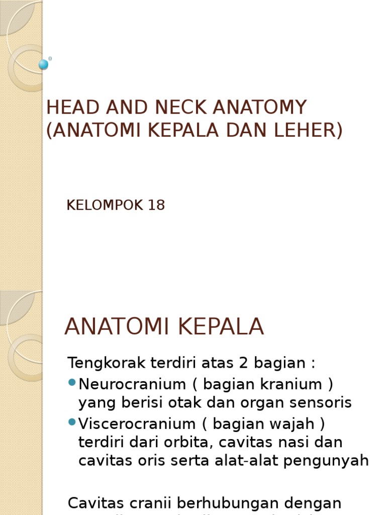 Head And Neck Anatomy Pdf