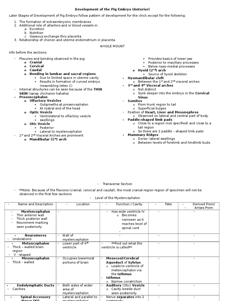Development of The Pig Embryo | PDF | Heart | Aorta
