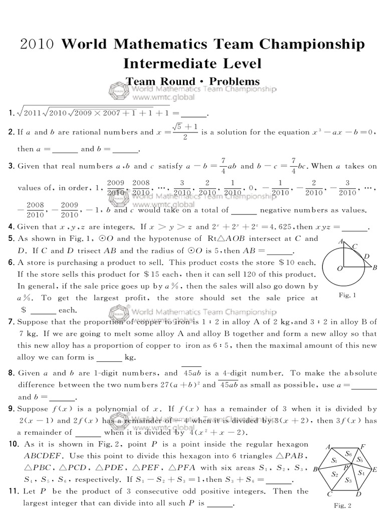 WMTC Official 2010 Intermediate | PDF | Foreign Language Studies
