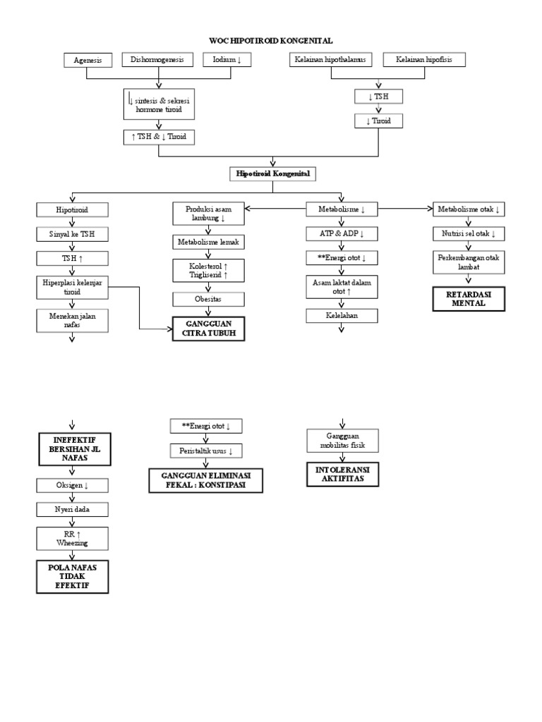 Woc Hipotiroid Kongenital | PDF | Gaya Hidup