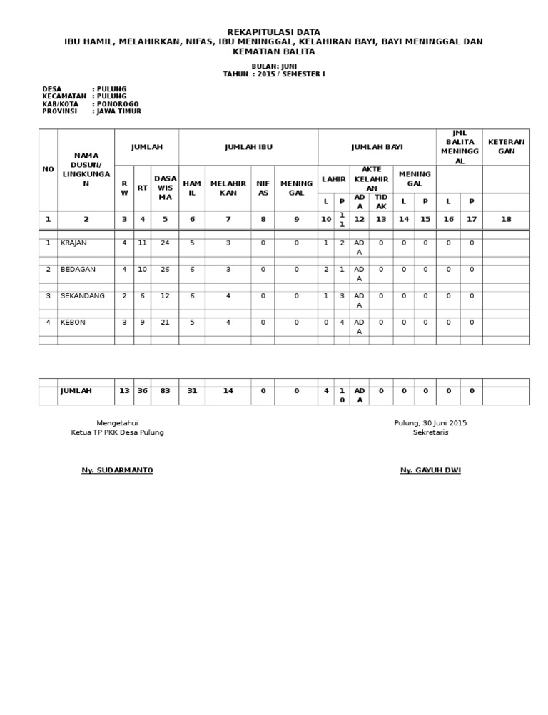 Rekapitulasi Data Ibu Hamil | PDF