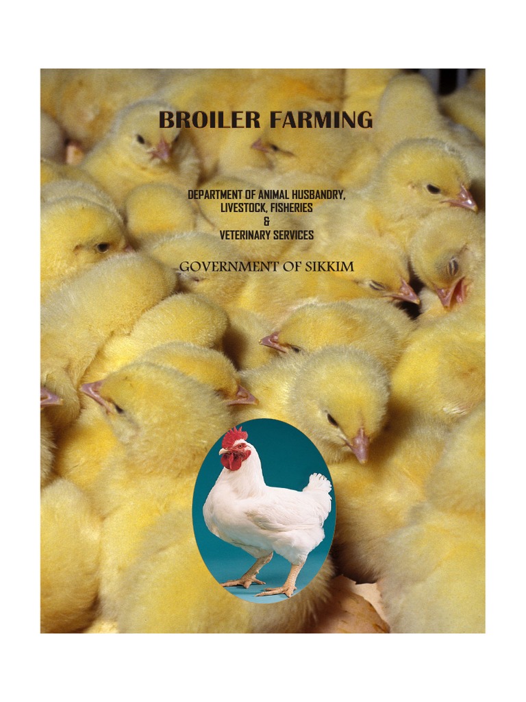 Broiler Booklet PDF | PDF | Poultry Farming | Broiler