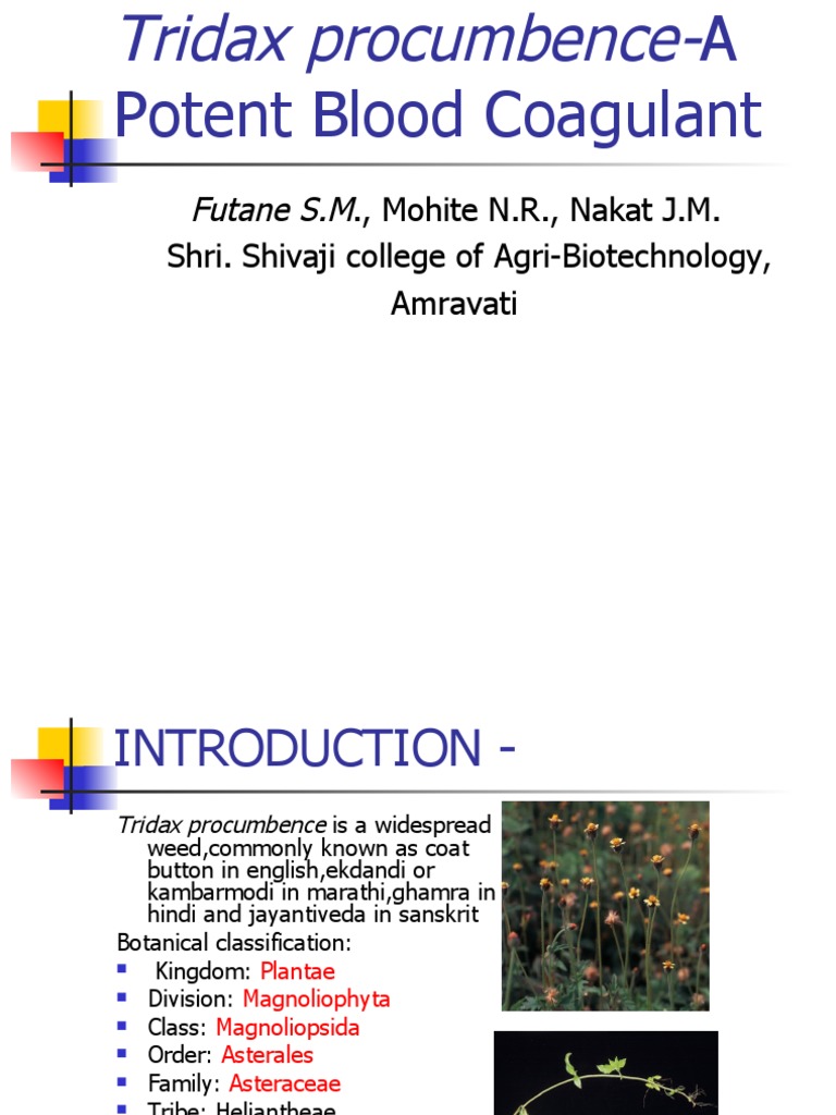 Tridax Procumbens: Blood Coagulation Aid | PDF | Coagulation | Blood