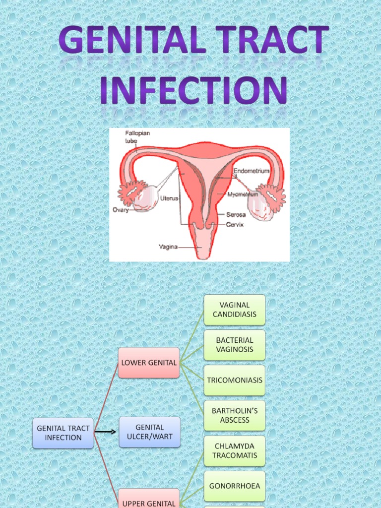 Genital Tract Infection Pdf Candidiasis Vagina