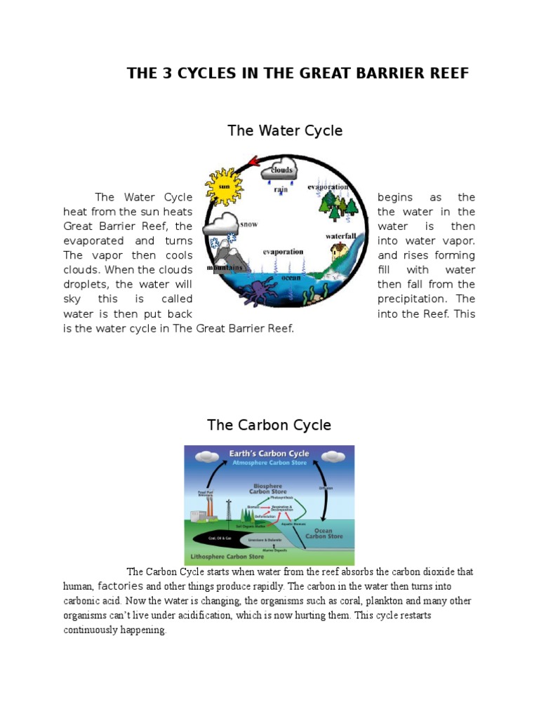 the 4 cycles in the great barrier reef | Coral Reef | Water Cycle