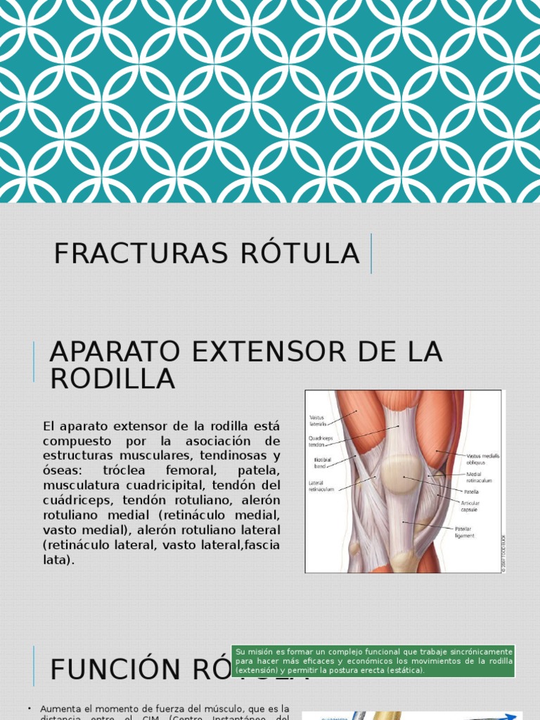 FX Rotula | Rodilla | Sistema musculoesquelético