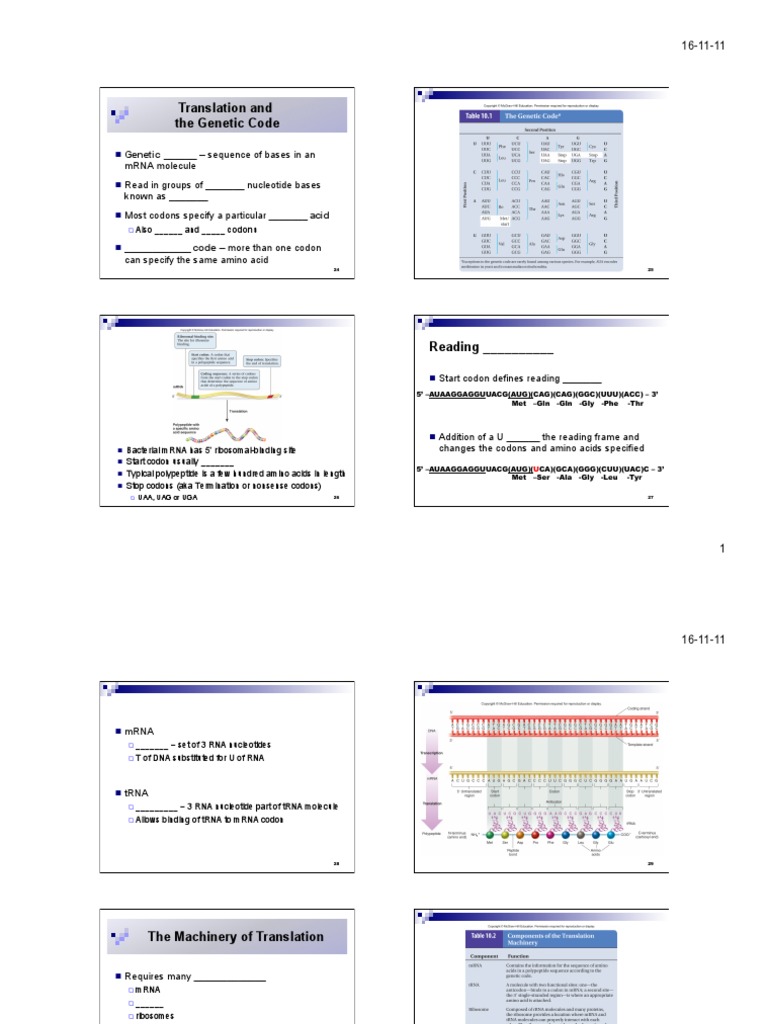 Ch10 Lecturepart2 Blanks | PDF | Translation (Biology) | Ribosome