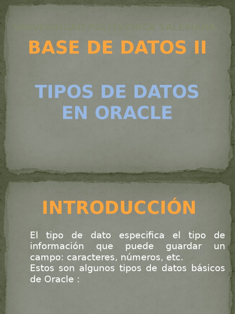Tipos de Datos en Oracle | PDF | Tipo de datos | Cadena (informática)