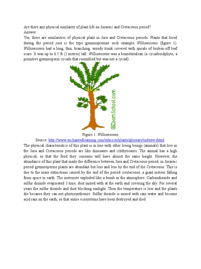 Williamsonia Had A Long, Thin, Branching, Woody Trunk Covered With ...