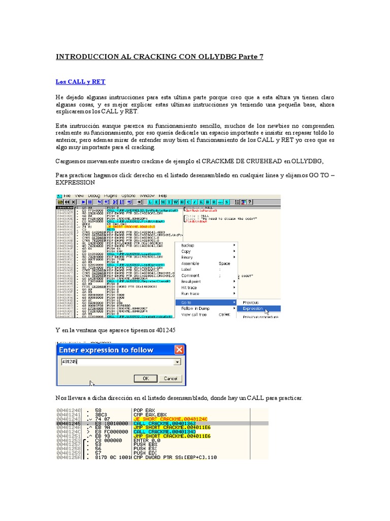 07-Introduccion Al Cracking Con Ollydbg Parte 7 | PDF | Métodos formales | Áreas de informática