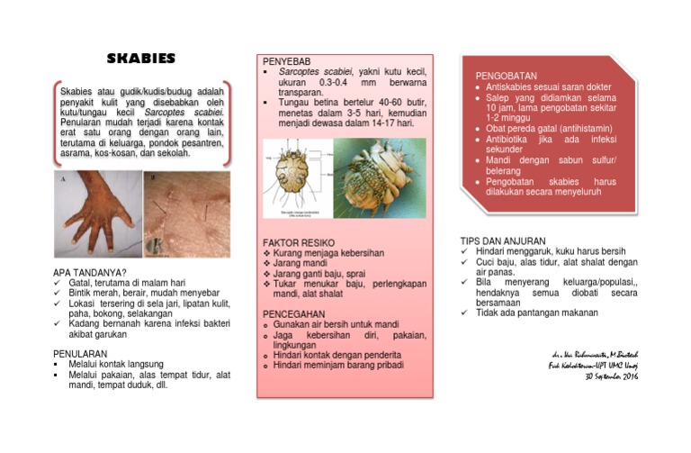 Leaflet Scabies | PDF