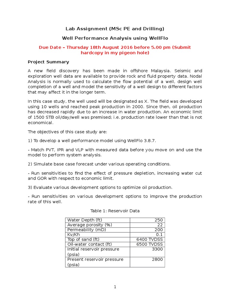 Well Performance Analysis using WellFlo | PDF | Petroleum Reservoir | Extraction Of Petroleum