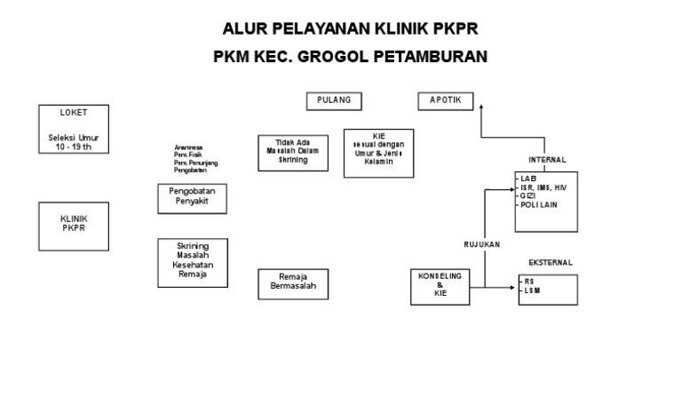 Alur Pelayanan Klinik PKPR | PDF