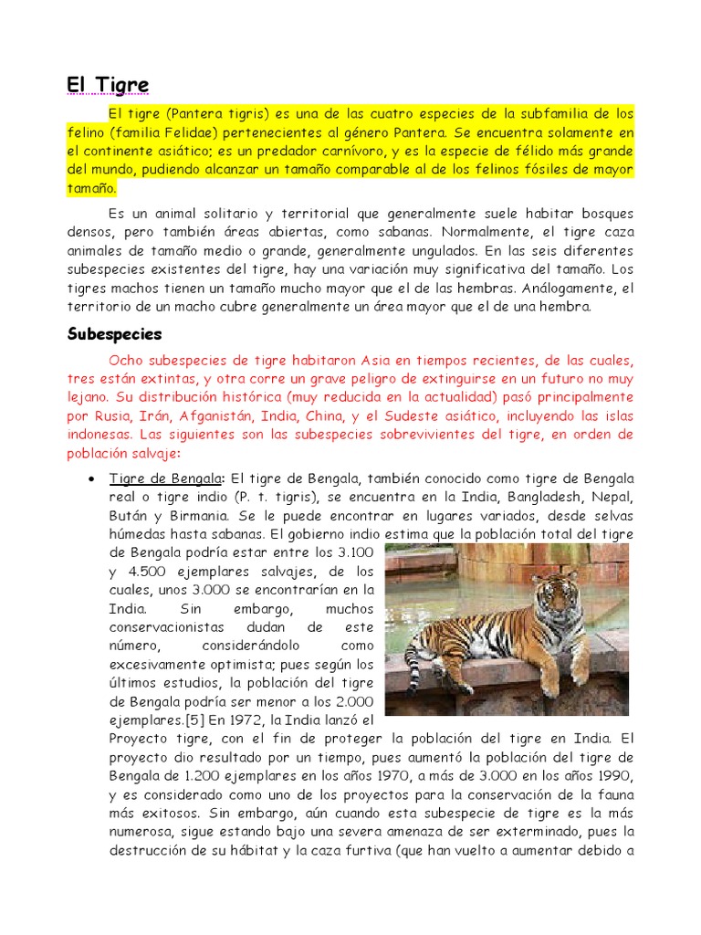 Ejercicio 15 El Tigre Pdf Tigre Felidae
