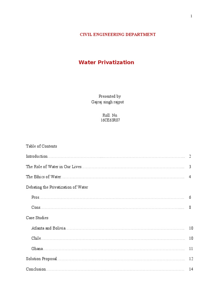 Water Privatization: Pros, Cons, and Case Studies | PDF | Water Supply ...