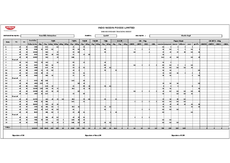 Indo Nissin Foods Limited: DSR Secondary Tracking Sheet | PDF