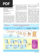 Concept Map Class 9 SST PDF | PDF | Economics | Economies
