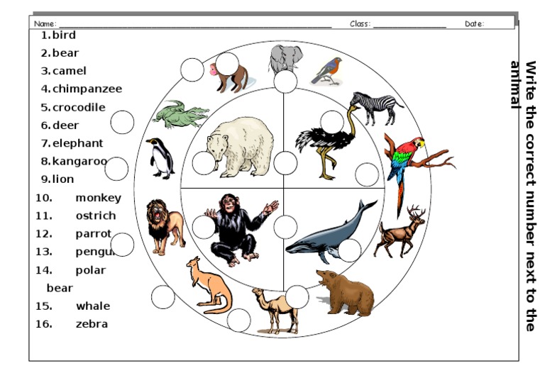 Animal - Wild Animals Wheel | PDF