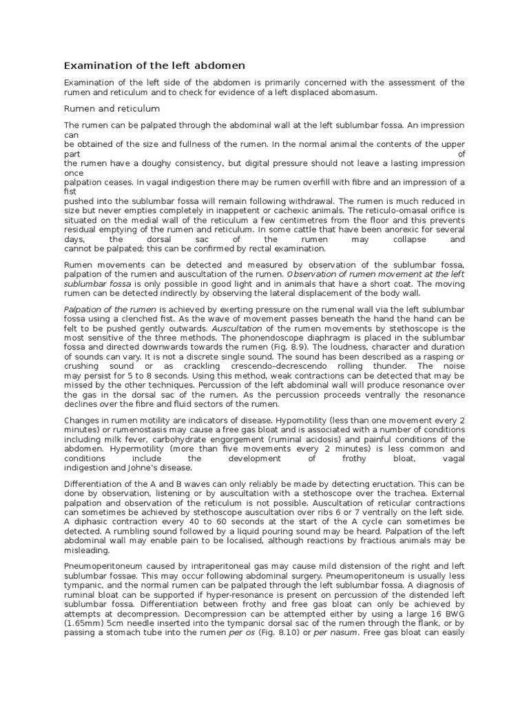 Examination of The Left Abdomen | PDF | Abdomen | Clinical Medicine
