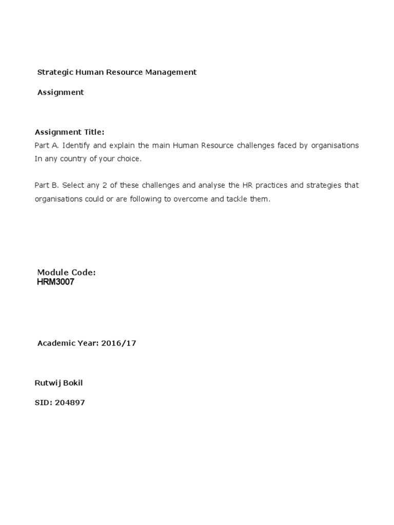 Strategic HR Management - Assignment 2 204897 - DRAFT | PDF | Employee ...
