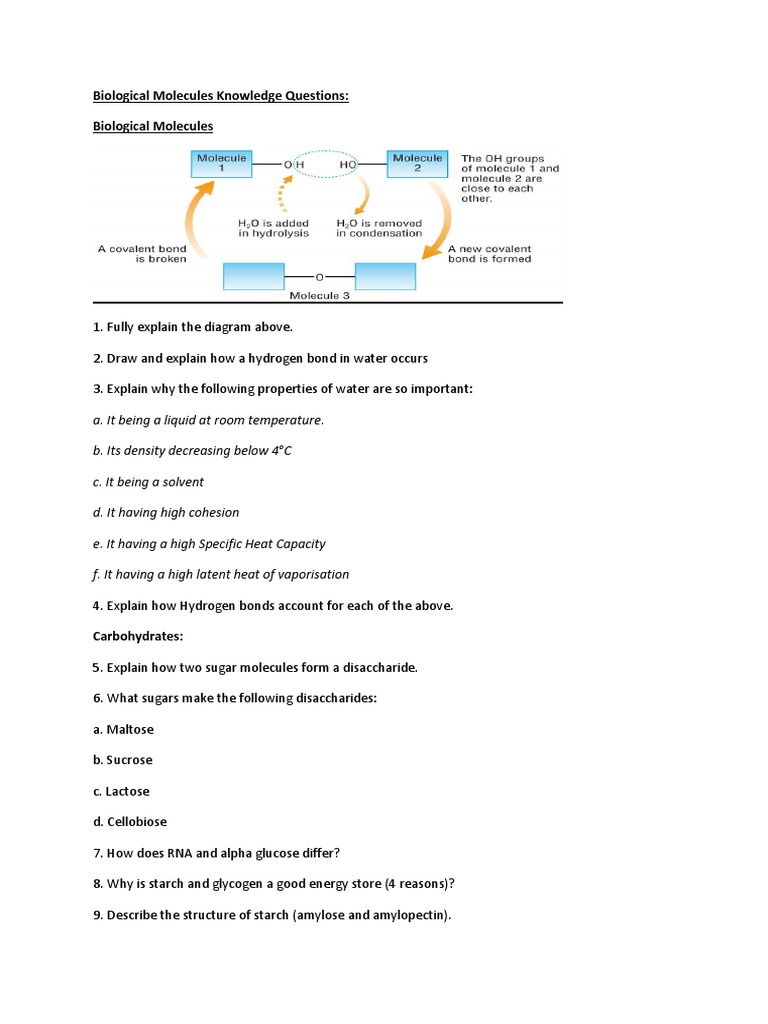 Biological Molecules: Key Concepts & Tests | PDF | Biomolecules | Starch
