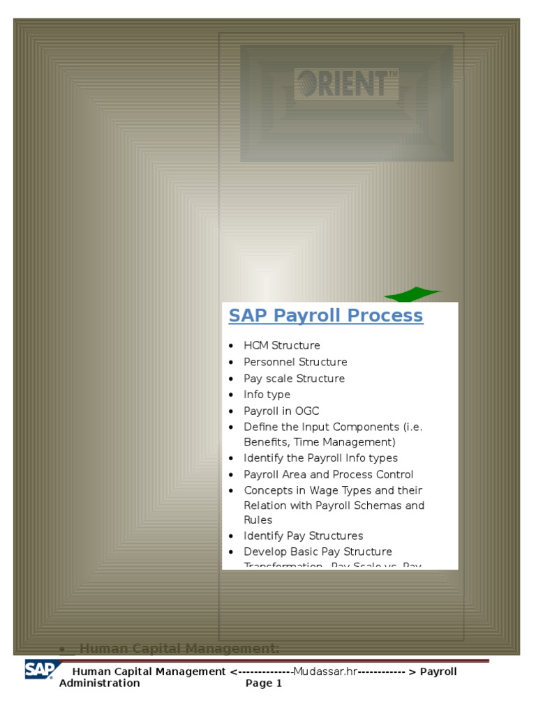 SAP Payroll Process: Human Capital Management | PDF | Payroll | Human ...