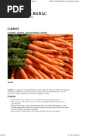 Carrot Planting and Care Guide | PDF | Carrot | Agriculture