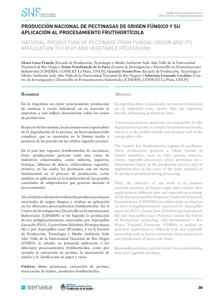 Enzima Pectinasa | PDF | Enzima | Aluminio