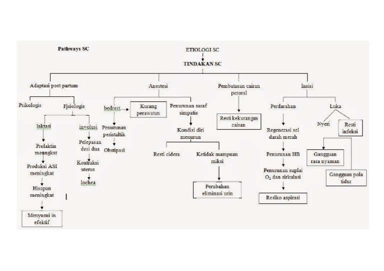 Woc Sectio Caesarea | PDF