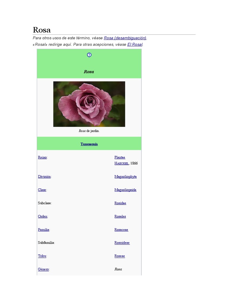 Rosa | PDF | Rosa | Plantas