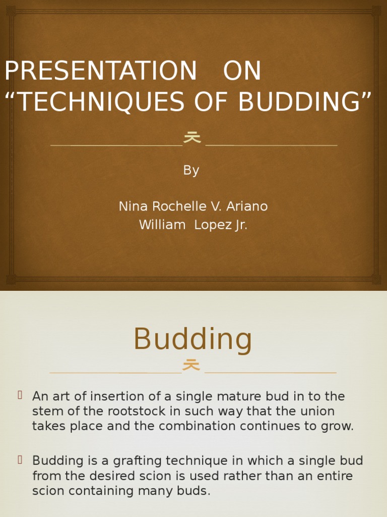 Types and Techniques of Budding | PDF | Grafting | Agriculture