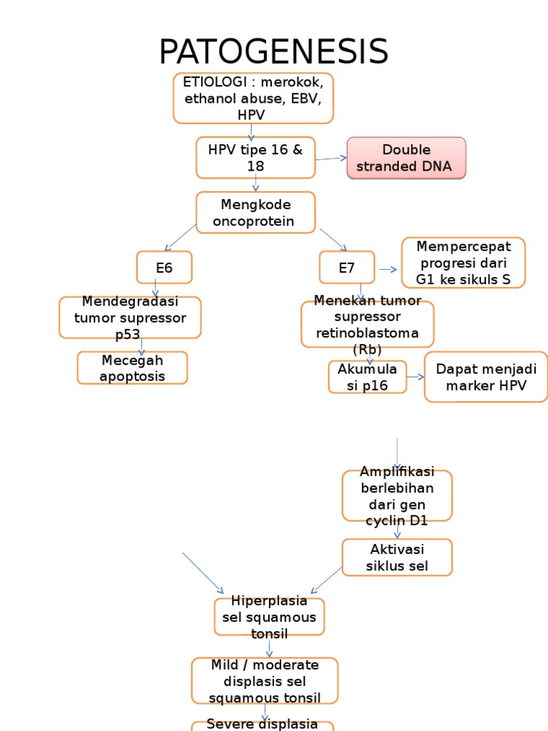Patgen CA Tonsil | PDF