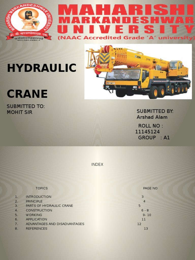Hydrauliccranes Project Report | PDF | Crane (Machine) | Hydraulics
