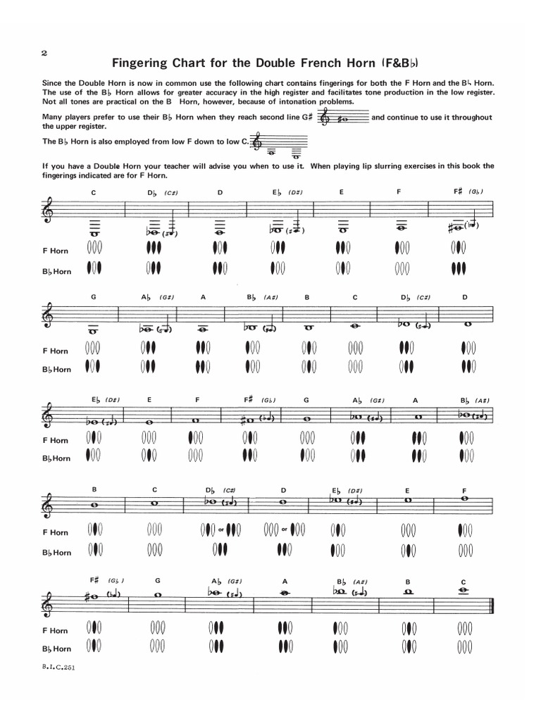 Fingering Chart Double French Horn | PDF