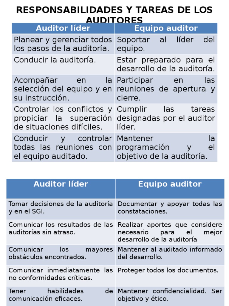 Auditor Lider y Equipo | PDF | Contralor | Auditoría financiera