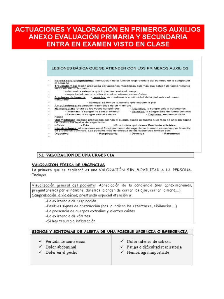 Anexo Evaluacion Primaria y Secundaria Entra en Examen | PDF | Lesión | Sistema respiratorio