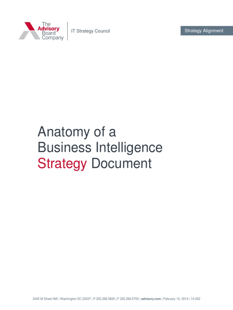 Anatomy of A Business Intelligence Strategy Document | PDF | Business ...