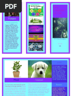 Nonfiction Reading Test Carnivorous Plants | PDF | Plants | Organisms