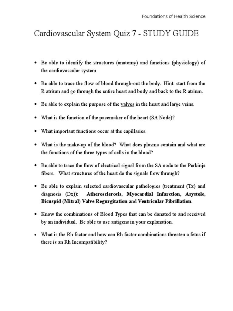Cardiovascular Study Guide | PDF