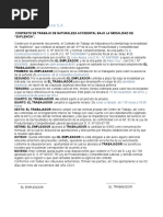 Modelo de Contrato de Trabajo Sujeto A Modalidad Ocasional | PDF | Derecho laboral | Gobierno