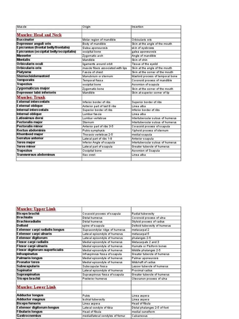 Muscles - Actions Origins Insertions | PDF | Anatomical Terms Of Motion ...