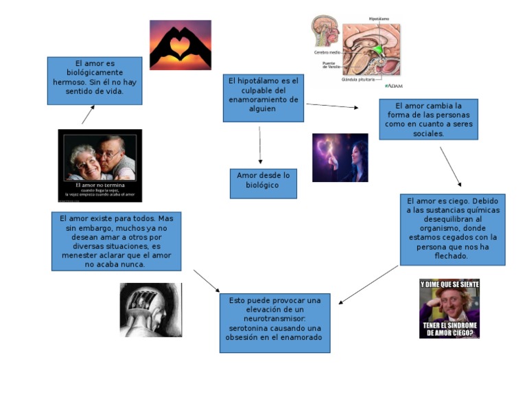Mapa Mental Sobre El Amor