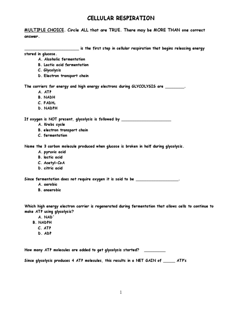 Cellular Respiration Worksheet Multiple Choice Investigation 6: