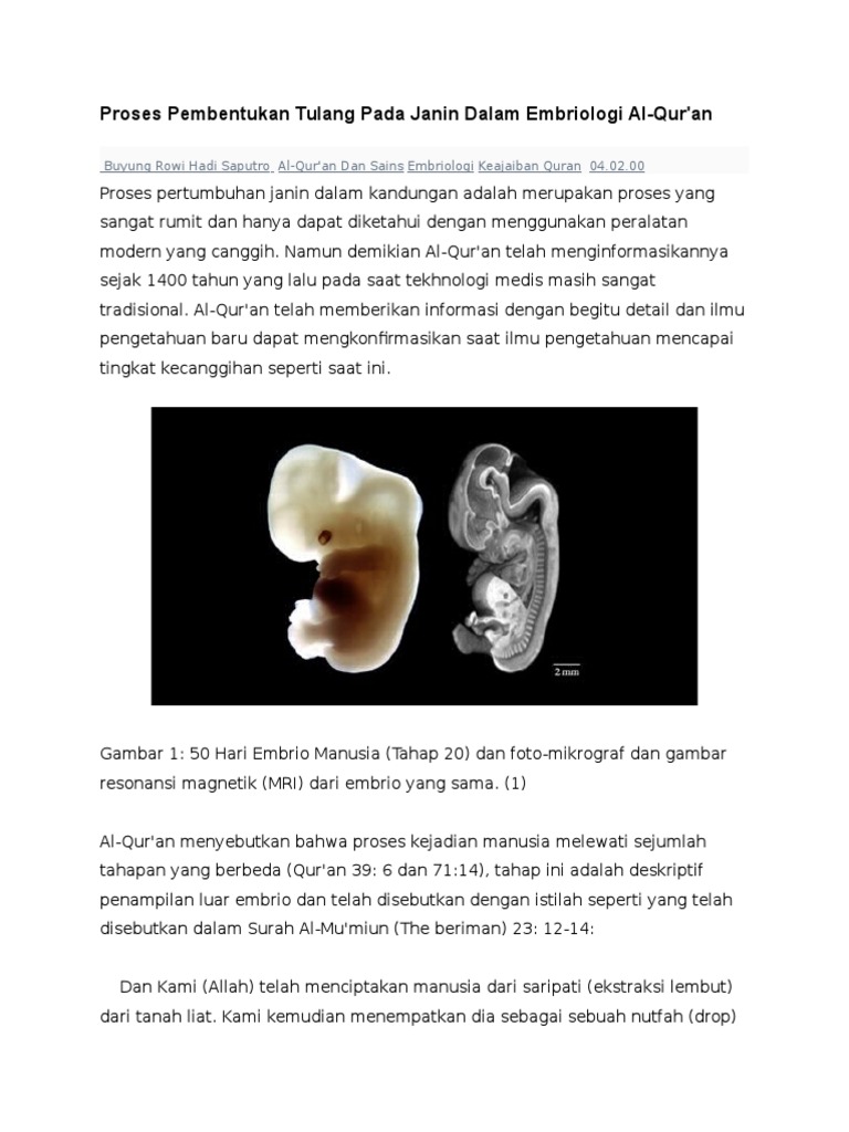 Proses Pembentukan Tulang Pada Janin Dalam Embriologi Al | PDF