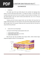 Anatomi Dan Histologi Dan Fisiologi Kulit | PDF